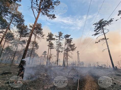 Пожар гори в гората до Каменар над Варна Утро