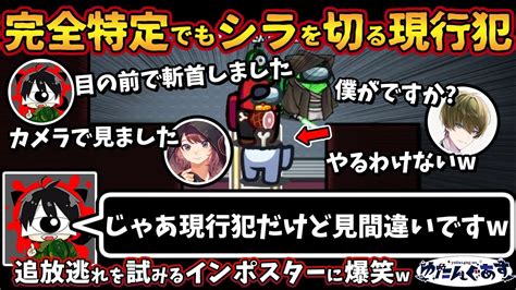 完全特定でもシラを切る現行犯「じゃあ現行犯だけど見間違いですw」追放逃れを試みるインポスターに爆笑w【among Usガチ部屋アモングアス