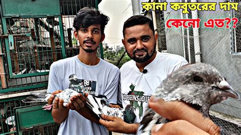 সজল ভাইয়ের বাসায় সবচেয়ে দামি কবুতর কোনটিচলুন দেখি। Youtube