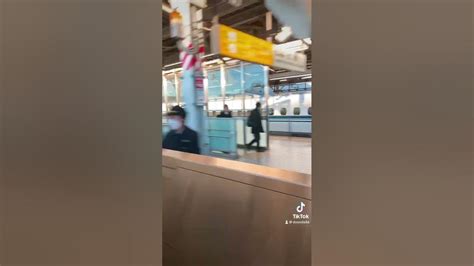 おはようございます。東海道新幹線です。 東海道新幹線 新幹線 鉄道 Shinkansen Youtube