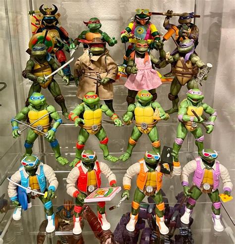 Got The Shelf Situated R Tmnt