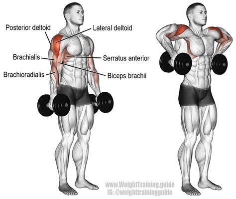 What Does Shoulder Shrugs Workout At Mildred Rohe Blog