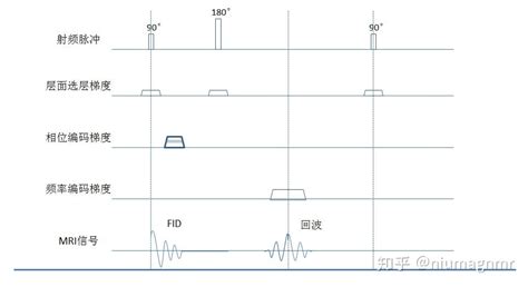 核磁共振脉冲基本序列简介se序列 知乎