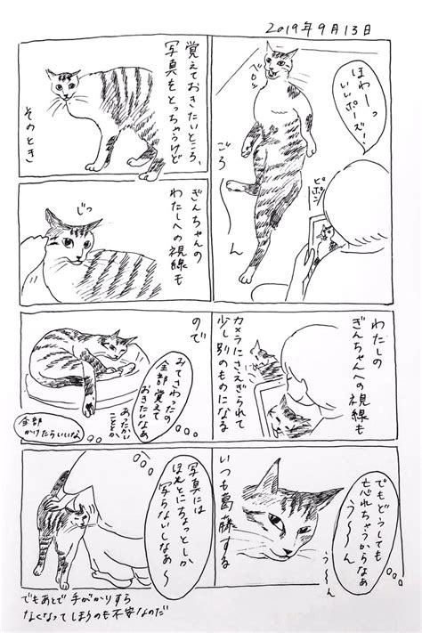 2019 9 13のぎんちゃん 今日のぎんちゃん 大山美鈴の漫画