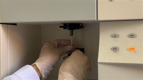 Analysis Of The Gfp Positive And Mcherry Positive Cells By Flow Cytometry