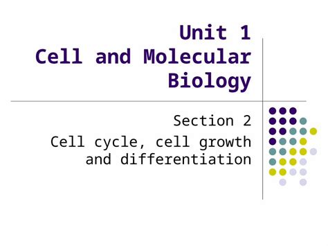 Ppt Unit 1 Cell And Molecular Biology Section 2 Cell Cycle Cell Growth And Differentiation