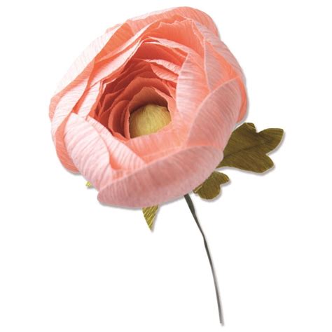 Sizzix Thinlits Die Set 5pk Ranunculus By Olivia Rose 1895 Chf