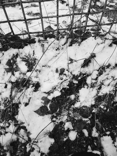 Gallery Sofia Ls2 Vsco