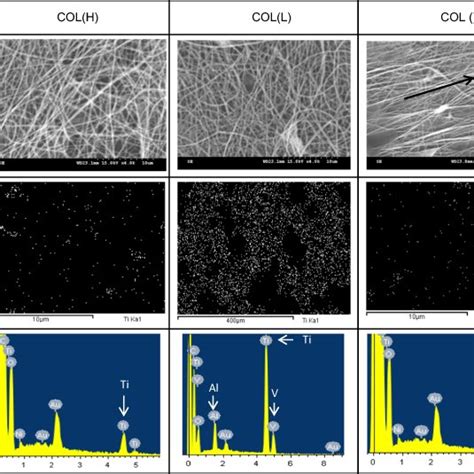 The Sem Micrographs In The Top Row Show The Random And Aligned