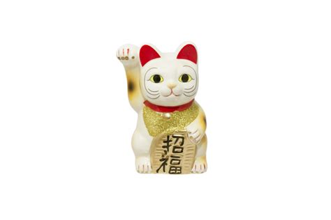 Japanese Bobtail Everything You Need To Know At A Glance
