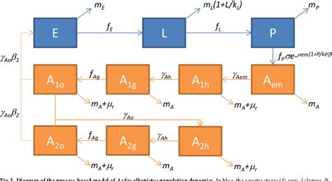 Figure 2 From Complementarity Of Empirical And Process Based Approaches To Modelling Mosquito