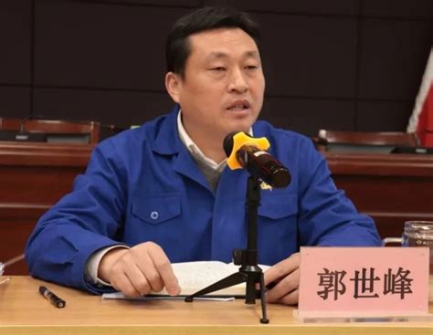中南钻石有限公司 公司新闻 中南钻石党委召开2022年度党支部书记抓党建述职评议会
