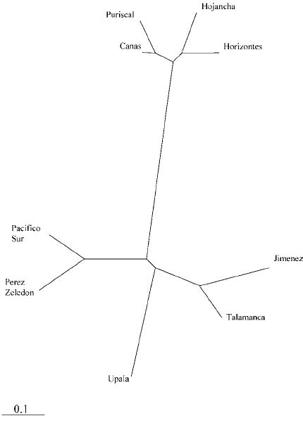 Neighbour Joining Tree Constructed Using A Pairwise Download