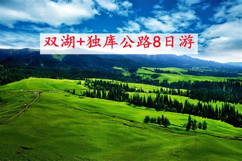 新疆青之旅国际旅行社