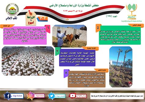 شائعة ذبح سلالات الدواجن ومتابعة الزراعات الزراعة فى أسبوع إنفوجراف