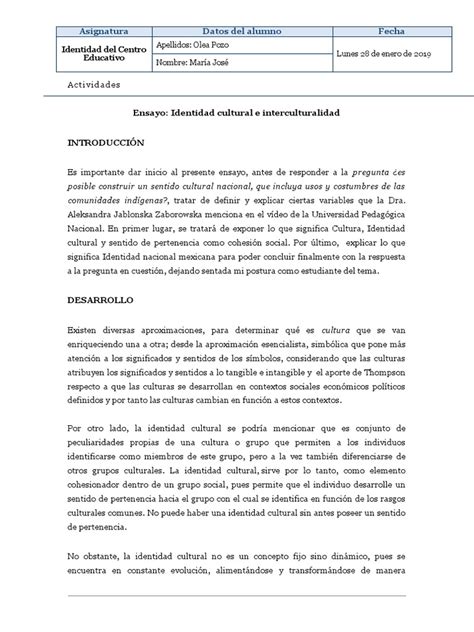 Ensayo Identidad Cultural E Interculturalidad Pdf