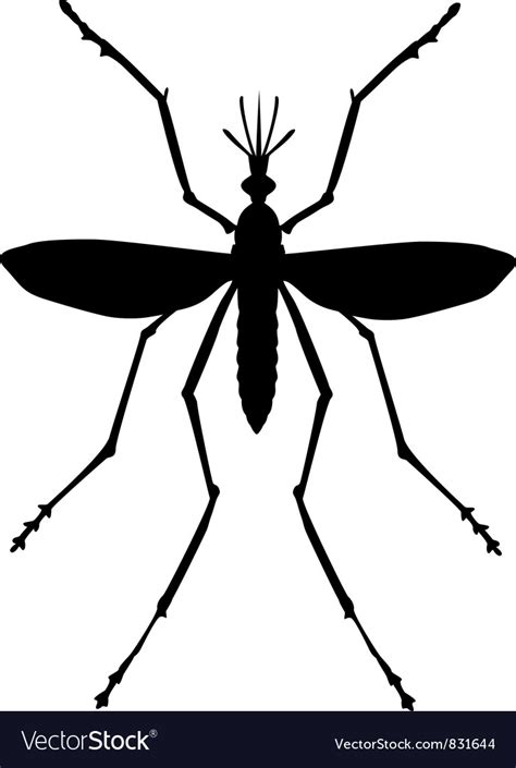Mosquito Royalty Free Vector Image Vectorstock