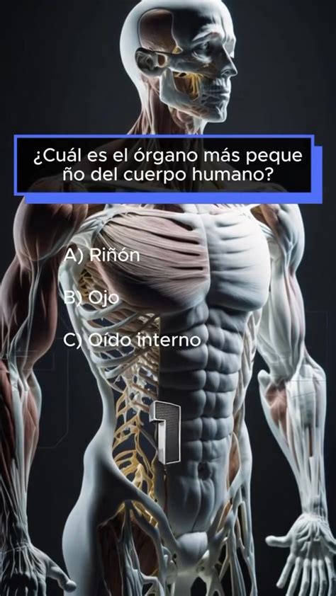 Federación Internacional De Criminología Y Criminalística Added A New