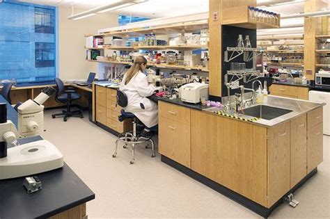 Monicas Lab