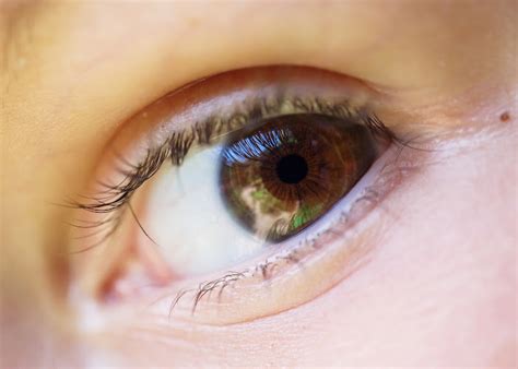 Autistic Stare A Detailed Examination Of Non Verbal Cues