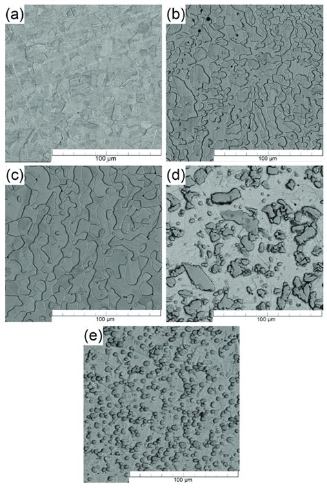 Microstructures Of Steels A 316l B Ldx C 2205 D Fe B E Download Scientific