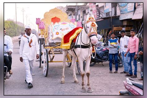 catalogue rana dholi in c scheme jaipur justdial