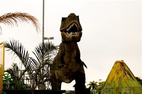 T Rex Pool T Rex Park