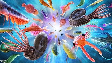 Cambrian Explosion Scienceandsf A Blog Published By Robert A Lawler