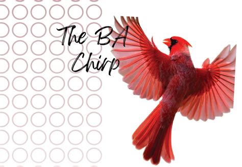 The Ba Chirp A Blog To Keep You In The Know