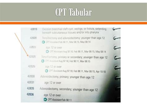 Ppt Icd 9 And Cpt Coding Powerpoint Presentation Free Download Id 2334744