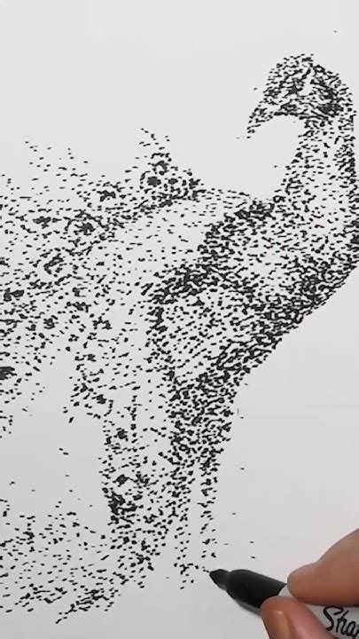 How To Draw A Peacock Using Dots Pointillism Stipplingdrawing Stipplingart Youtube