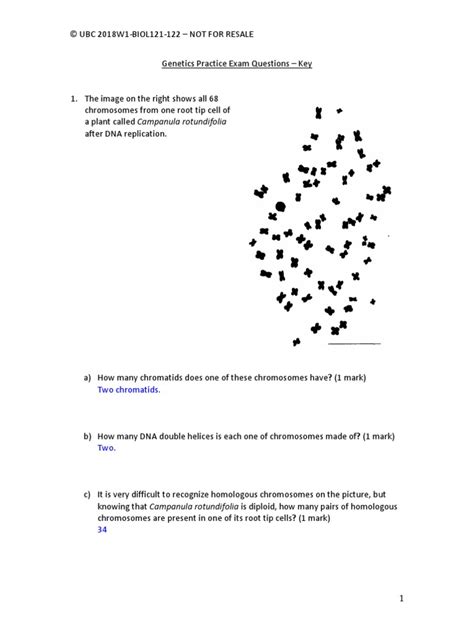 Genetics Practice Exam Questions Key Pdf Dominance Genetics