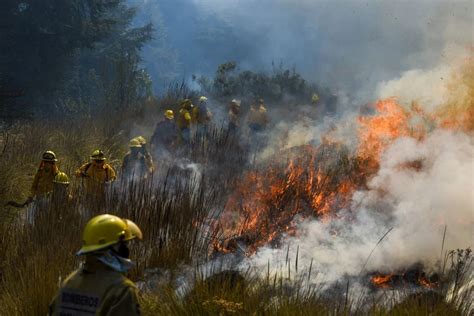 Estos Son Los Estados Con Mayor Riesgo De Generación De Incendios
