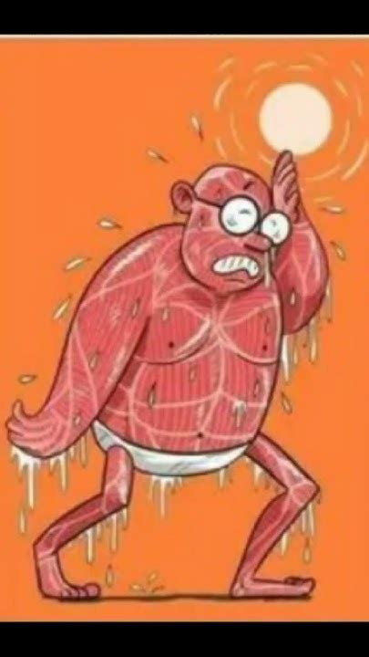 Funny Videos Viral Shortvideo Hotwheels Jabgat Garmy Youtube