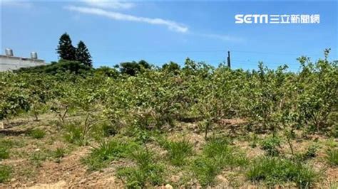 豪砸651億！世紀鋼買16萬坪農地 創大園南港段最大交易面積紀錄 三立inews 三立新聞網 Setncom