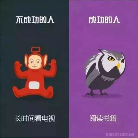 九張圖告訴你成功與不成功的區別在哪裏 每日頭條