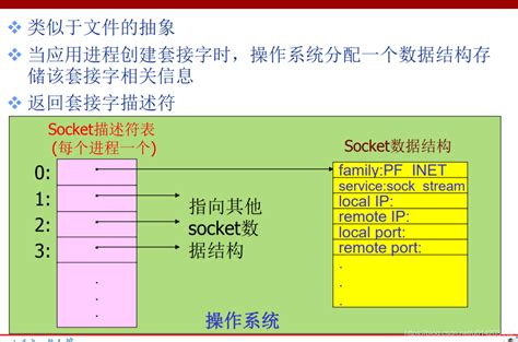 计网学习笔记十socket编程 Csdn博客