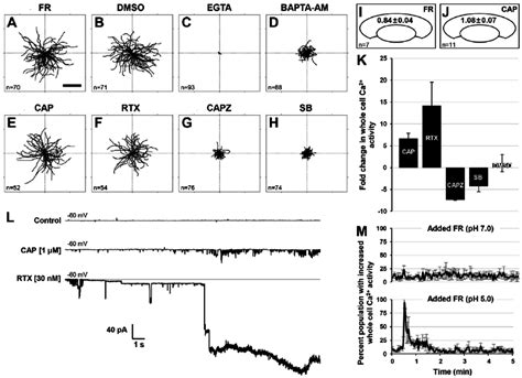 Pharmacological Treatment Of Keratinocytes With Trpv1 Agonists And