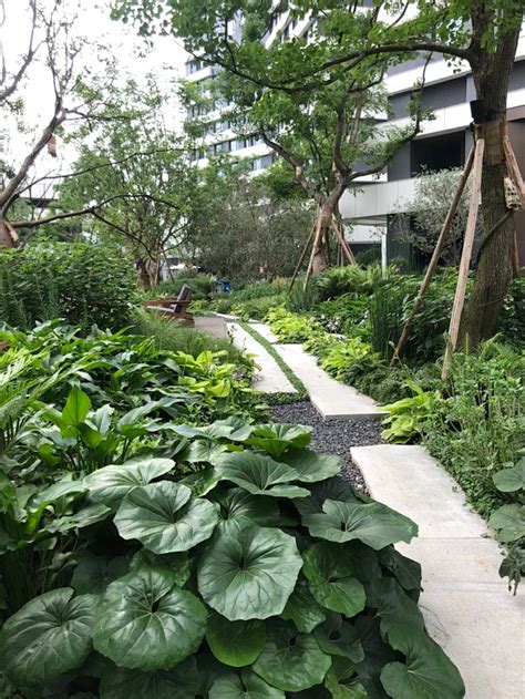 带你认识成都麓湖高端楼盘的植物搭配 花瓣网