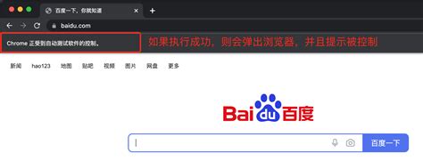 Python网络爬虫之selenium详解 极客之音