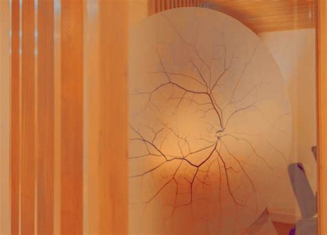 Open Angle Vs Angle Closure Glaucoma Whats The Difference