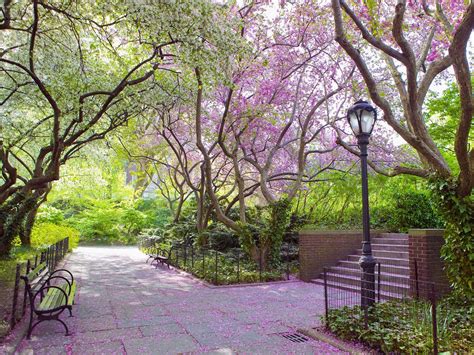 Spring New York City Wallpapers Wallpaper Cave
