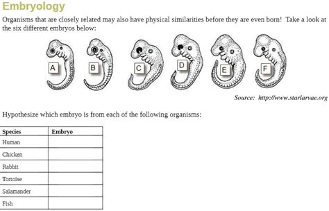 Solved Embryology Organisms That Are Closely Related May Also Have