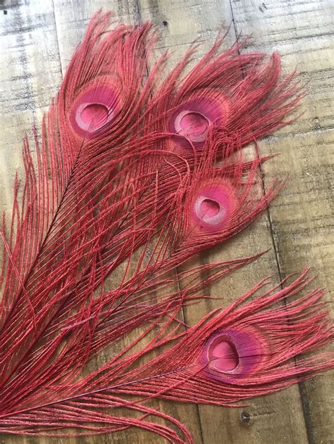 Bleached Peacock Feathers 4 Pieces Iridescent Color Rust Brick Red