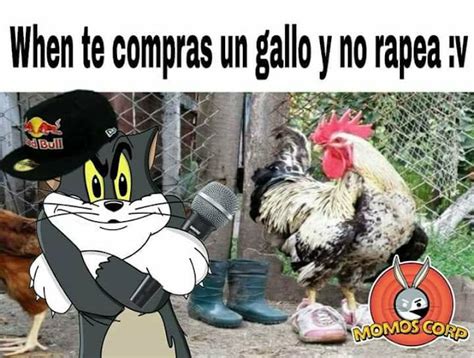 Imágenes Chistosas Raioz me estafaron