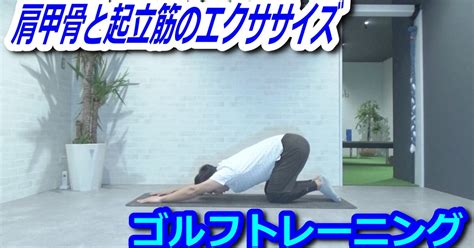 肩甲骨の可動域を上げるゴルフストレッチ Blog 神戸市東灘区ストレッチ｜golf Body Lab（ゴルフボディラボ）で体質改善