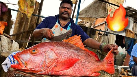 Monster Red Snapper 💥 Kasimedu Selvam Fish Cutting Kasimedu Ckfc