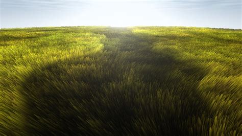 Waving Grass Shader Packs — Shaders Mods