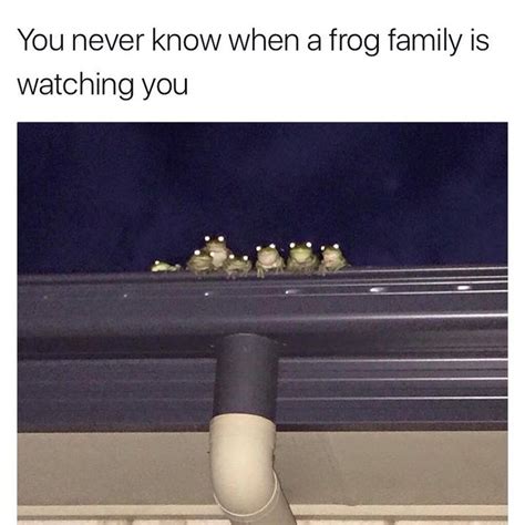 17 Wholesome Memes To Brighten Your Day