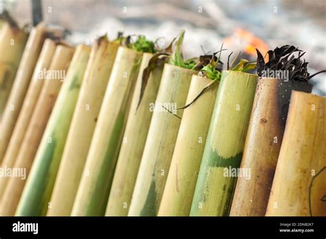 Gambar Lemang Kartun Cara Membuat Tumbu Makanan Khas Bugis Wajib Ada